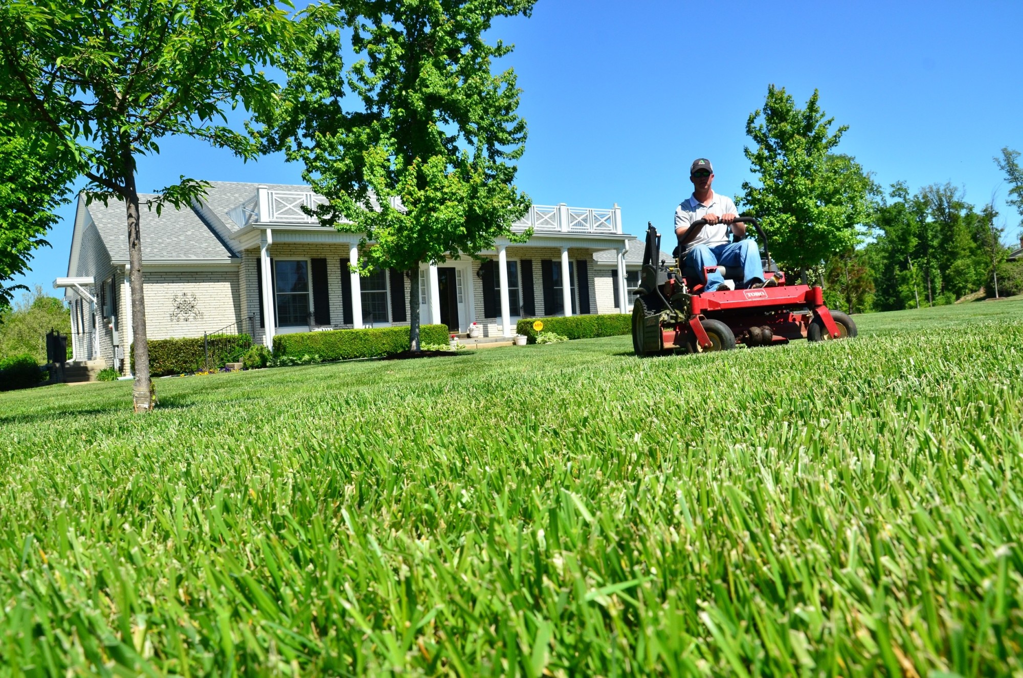 How To Avoid The Most Common Lawn Care Mistakes At All Costs The Zen 
